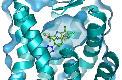 Daridorexant: Novel insomnia drug shows low abuse potential in ...